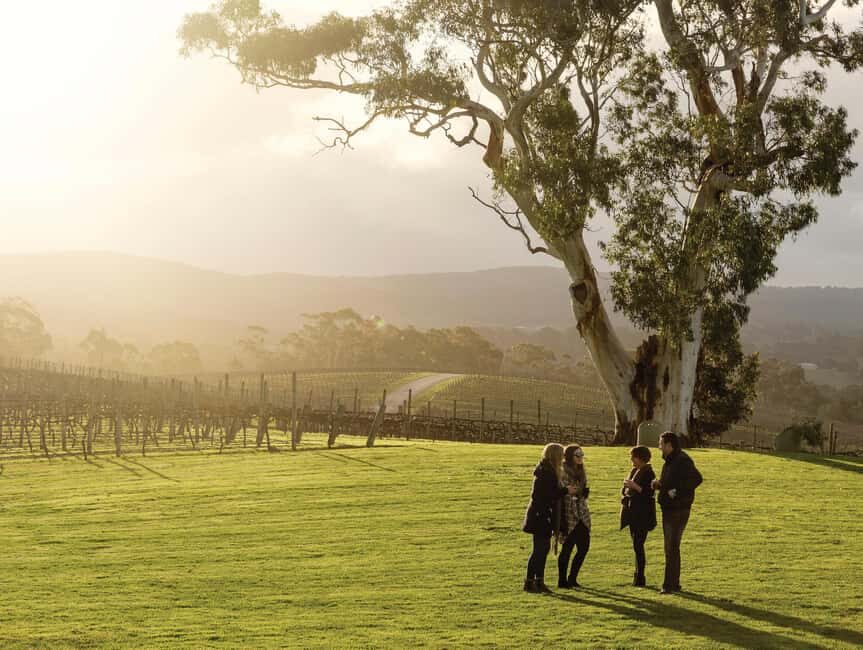 Adelaide Hills and Hahndorf Hop-On-Hop-Off Tour - Is It Worth the Price?