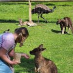 Adelaide Hills Cleland Wildlife Park and Hahndorf Minibus Tour - What Travelers Are Saying