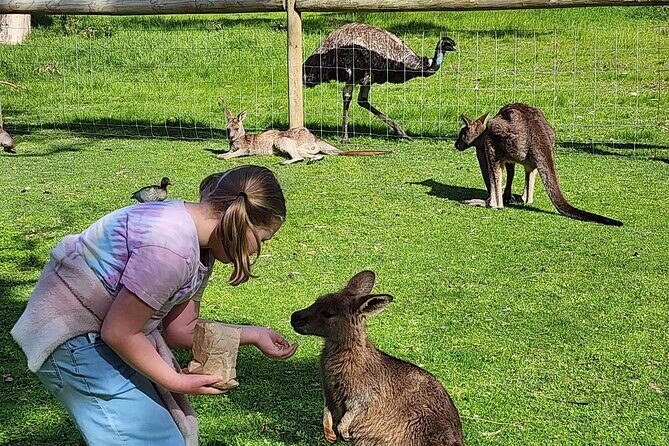 Adelaide Hills Cleland Wildlife Park and Hahndorf Minibus Tour - What Travelers Are Saying