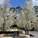 Adelaide Hills Tour - The Logistics and Value