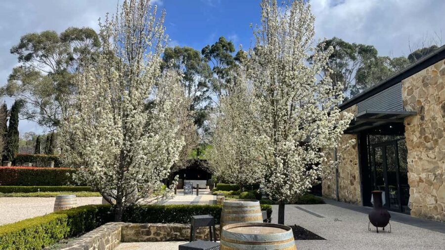 Adelaide Hills Tour - The Logistics and Value