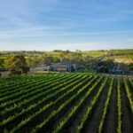 Adelaide: McLaren Vale All-Inclusive Wine and Brew Tour - Scenic Drive and Final Stop in Glenelg