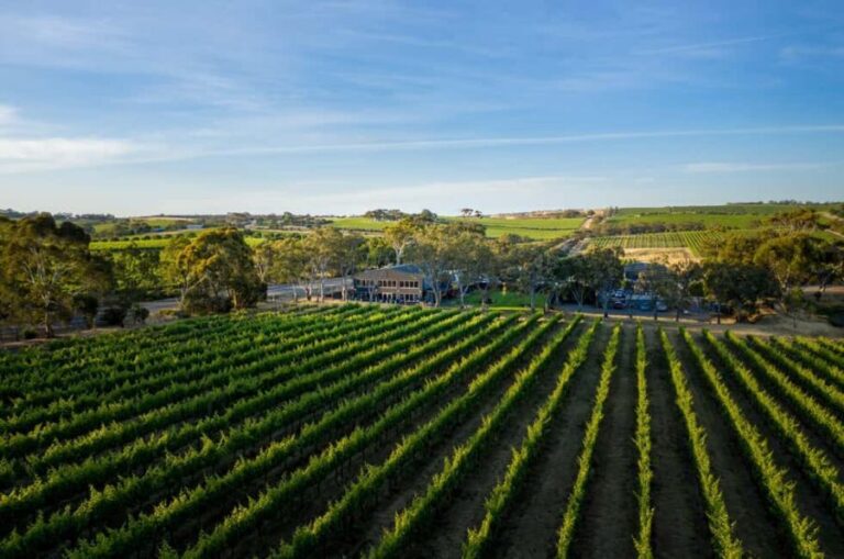 Adelaide: McLaren Vale All-Inclusive Wine and Brew Tour - Scenic Drive and Final Stop in Glenelg
