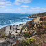 Adelaide: McLaren Vale, Port Elliot & Victor Harbor Tour - Practical Considerations and Value