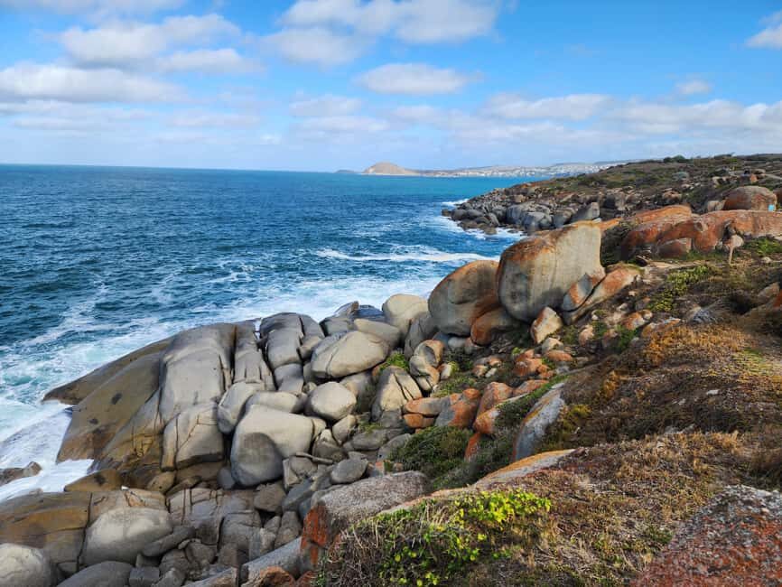 Adelaide: McLaren Vale, Port Elliot & Victor Harbor Tour - Practical Considerations and Value