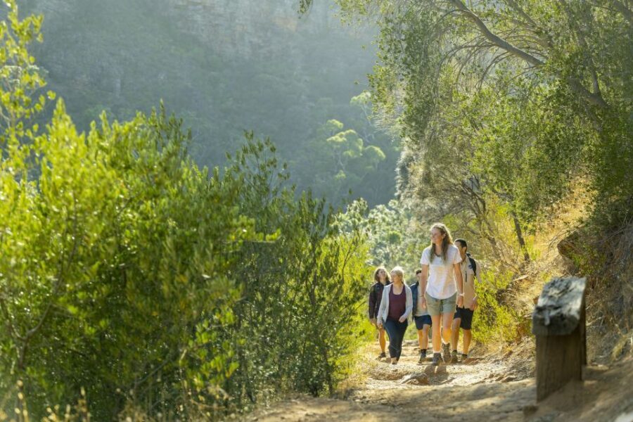 Adelaide: Morialta Wilderness and Wildlife Hike - Who Is It Best For?