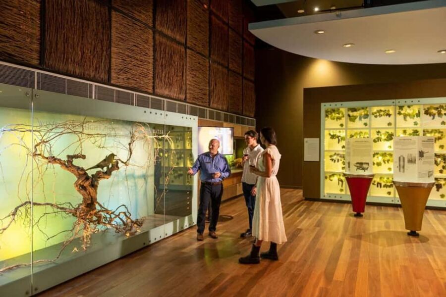 Adelaide: National Wine Centre Wine Discovery Journey - The Tour Experience: What to Expect