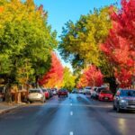Adelaide: Private Boutique Wine Tasting & Sightseeing Tour - Who Will Appreciate This Tour?