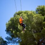 Adelaide: TreeClimb Adventure - Practical Details and Planning Your Visit