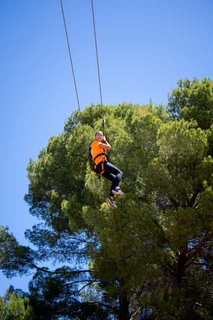 Adelaide: TreeClimb Adventure - Practical Details and Planning Your Visit