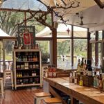 Adelaides Must do tours for Cruise Passengers  Arrive on Time - Who Will Love This Tour?
