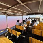 Admission Ticket to Safari in the Pink Lagoons of Las Coloradas - How the Reviews Reflect the Experience