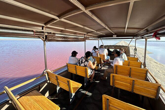 Admission Ticket to Safari in the Pink Lagoons of Las Coloradas - How the Reviews Reflect the Experience