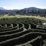 Admission to the Alpinia Nature and Adventure Park - What Do Visitors Say?
