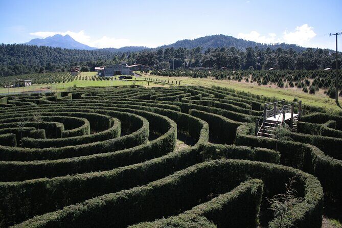 Admission to the Alpinia Nature and Adventure Park - What Do Visitors Say?
