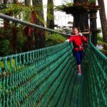 Adrenalin Forest Auckland - Practical Details for Your Visit
