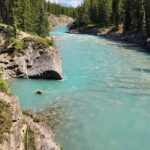 Adrenaline Aquatic Tour - What to Expect and What to Bring