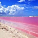 Adventour Day: Coloradas and Rio Lagartos Excursion from Cancun! - The Itinerary in Detail: Why It Matters
