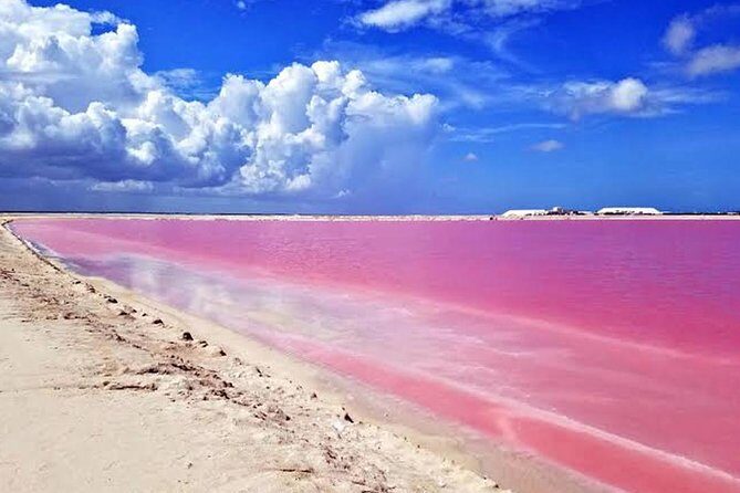 Adventour Day: Coloradas and Rio Lagartos Excursion from Cancun! - The Itinerary in Detail: Why It Matters