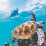 Adventure Moreton Island Scuba Dive Tour - The Logistics: What You Need to Know
