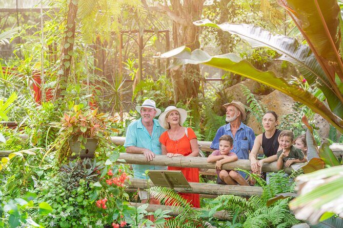 Adventure on a Budget Visit Kuranda or Palm Cove from Pt Douglas - Deep Dive into the Highlights