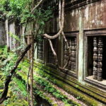 Adventure to Boeng Mealea and Koh Ker temple from Siem Reap - Analyzing the Experience: Value and Practicalities