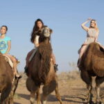 Adventure to Desert Kyzyl Kum and Yurt Camp - Pricing and Value