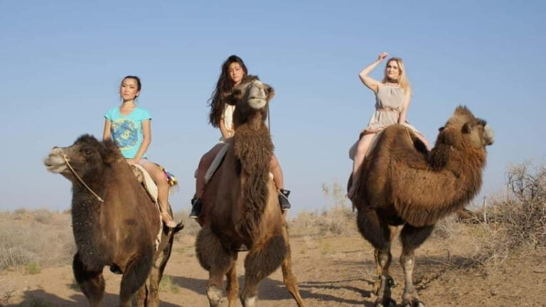 Adventure to Desert Kyzyl Kum and Yurt Camp - Pricing and Value