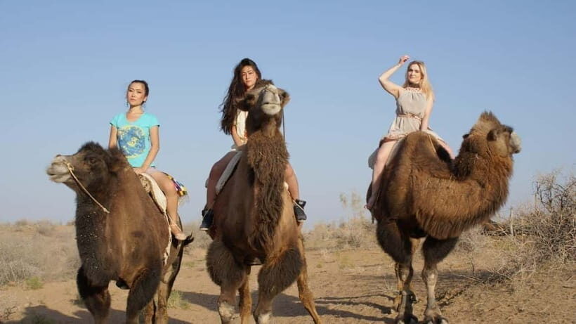 Adventure to Desert Kyzyl Kum and Yurt Camp - Pricing and Value