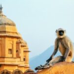 Adventurous & Classical India Curated Journey: South & Golden Triangle - The Practical Value: What This Tour Means for You