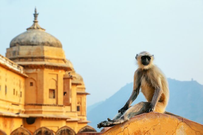 Adventurous & Classical India Curated Journey: South & Golden Triangle - The Practical Value: What This Tour Means for You