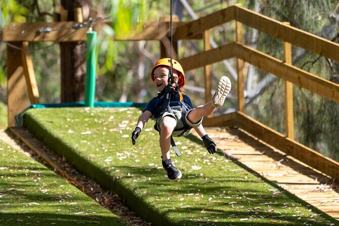 Aerial Fun & Ziplining for Our Littlest Adventurers in Salisbury - Pricing and Value
