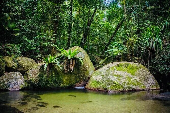 Affordable Return Mossman Gorge from Port Douglas Transfers - The Scenic, Stress-Free Journey