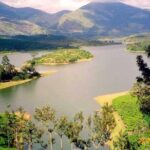 Affordable transfer from Kochi to Munnar - Comparing Value: How Does It Stack Up?