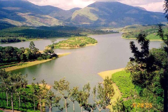 Affordable transfer from Kochi to Munnar - Comparing Value: How Does It Stack Up?