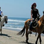 Afro-Mex Village Experience -Horseback Ride -Turtle Hatch & Crocs - What Travelers Say: Authentic Experiences in Their Own Words