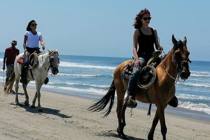 Afro-Mex Village Experience -Horseback Ride -Turtle Hatch & Crocs - What Travelers Say: Authentic Experiences in Their Own Words