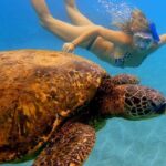 Afternoon Adventure Snorkel from Ka'anapali - Authentic Testimonials from Guests
