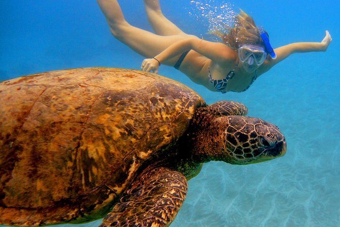 Afternoon Adventure Snorkel from Ka'anapali - Authentic Testimonials from Guests