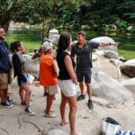 Afternoon Daintree Tour with River Cruise from Port Douglas - The Logistics: What You Need to Know