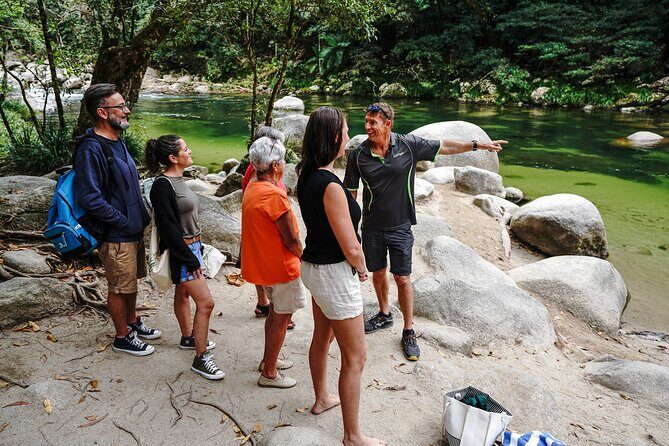 Afternoon Daintree Tour with River Cruise from Port Douglas - The Logistics: What You Need to Know