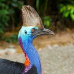 Afternoon & Evening Tour of Paronella Park - The Itinerary Breakdown