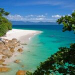 Afternoon Fitzroy Island Escape  Return Ferry Included - Authentic Insights from Travelers