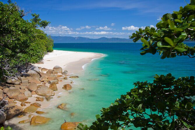 Afternoon Fitzroy Island Escape  Return Ferry Included - Authentic Insights from Travelers