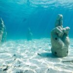 Afternoon Half-Day Catmaran Sailing and Snorkel Adventure - Authentic Perspectives from Travelers