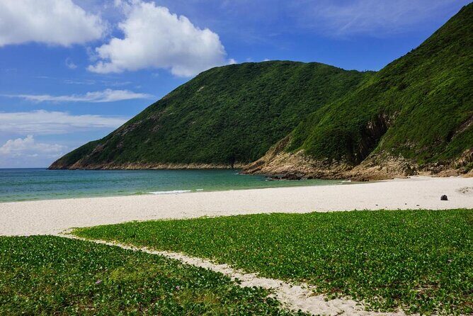 Afternoon Hiking Tour Sharp Island Geopark - Discovering Sharp Island Geopark: A Natural Escape in Hong Kong
