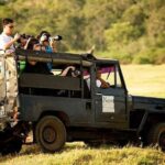 Afternoon Safari to Yala National Park - Who Is This Tour Best For?