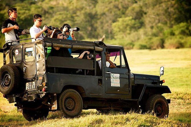 Afternoon Safari to Yala National Park - Who Is This Tour Best For?
