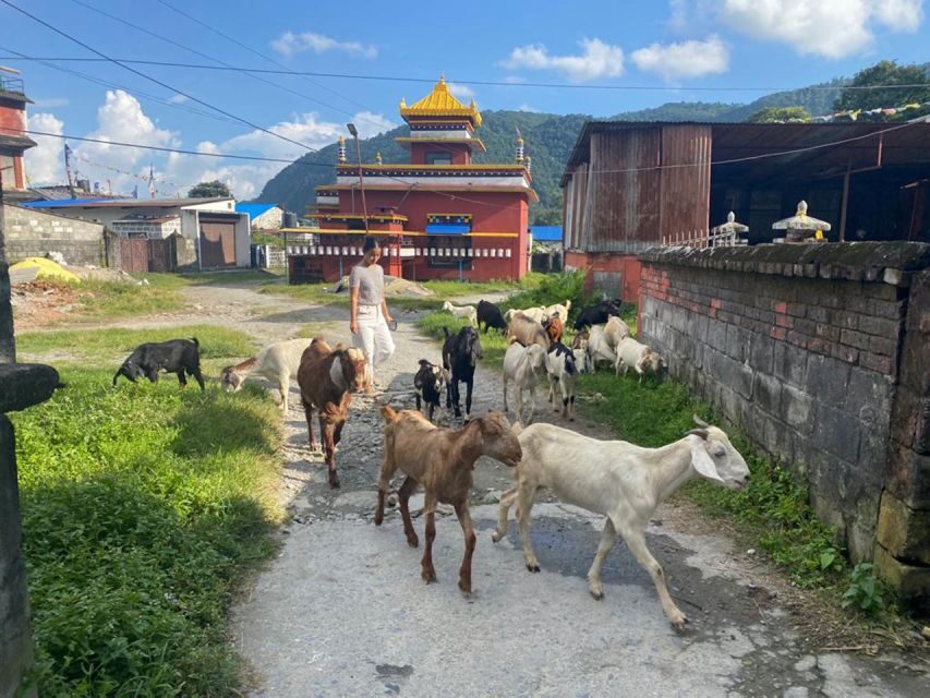 Afternoon Tibetan cultural tour - FAQ