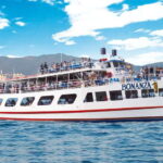 Afternoon Tropical Cruise from Acapulco - The Itinerary and Experience Breakdown
